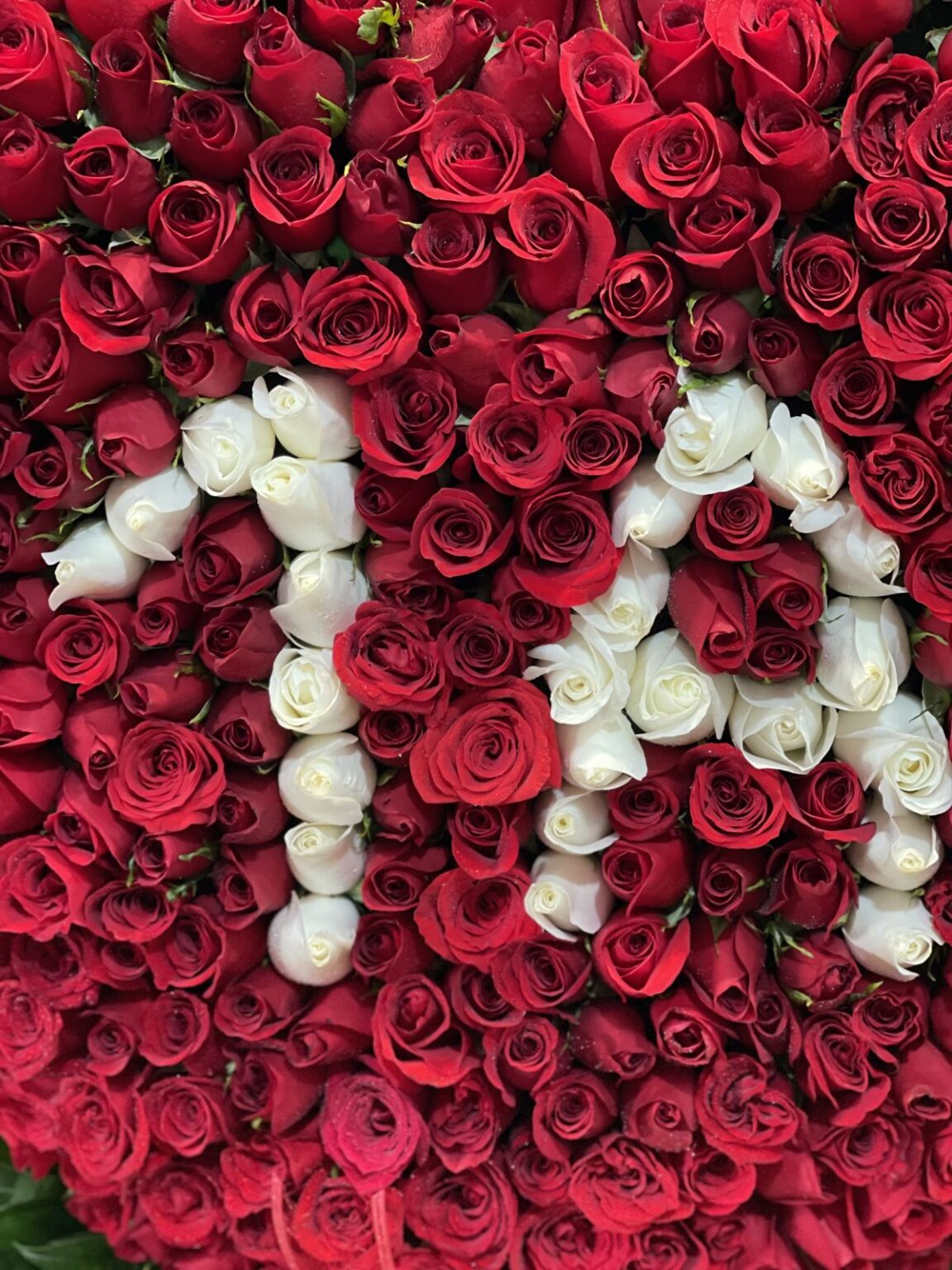 Corazón 3D Grande | Floristería Medellín | Ramos de flores