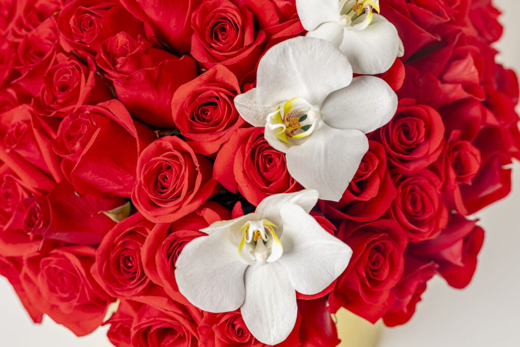 Scarlet Bloom | Floristería Medellín | Ramos de flores